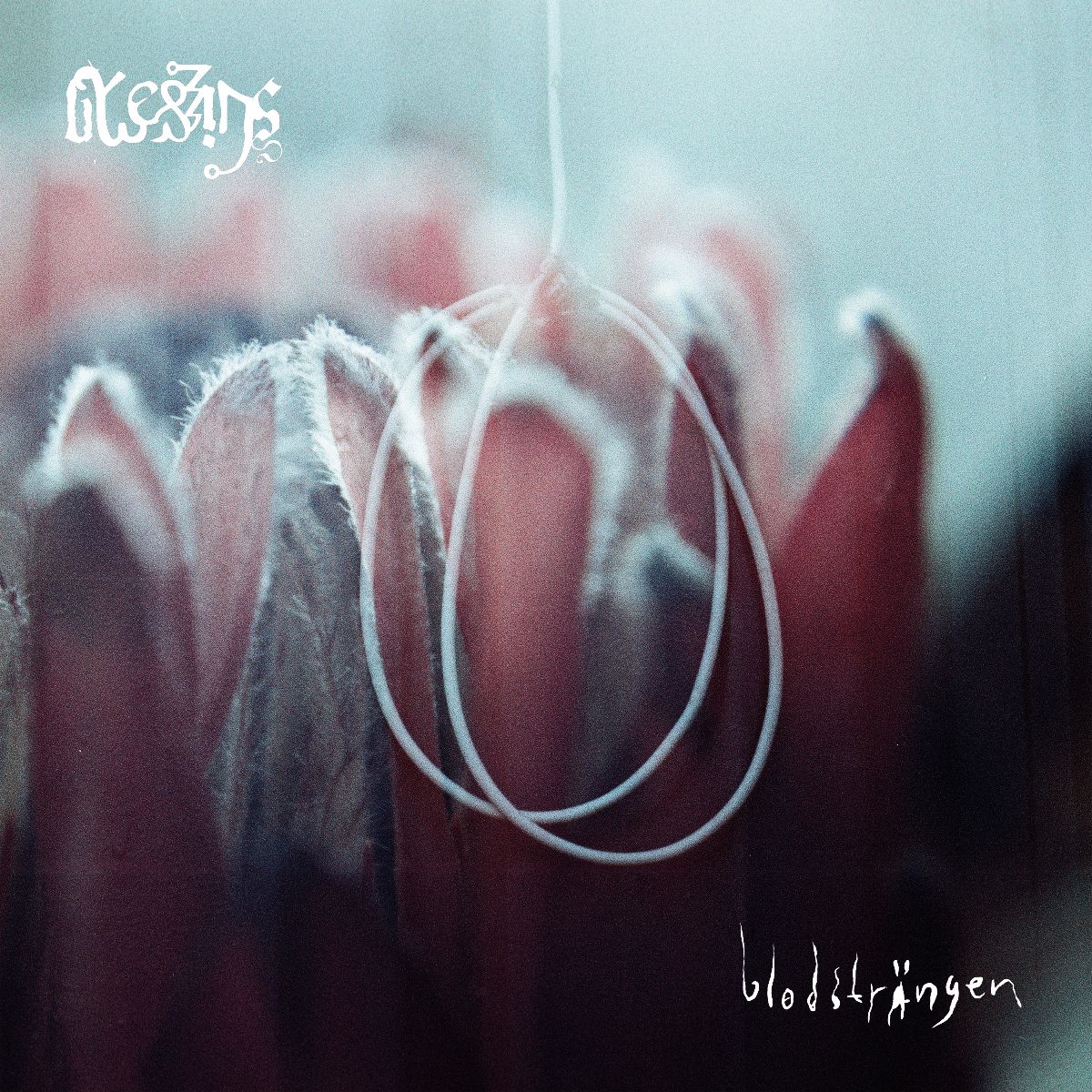 BLESSINGS: neues Album "Blodsträngen" - dritter Song "Allt Vi Kan Ge Är ...