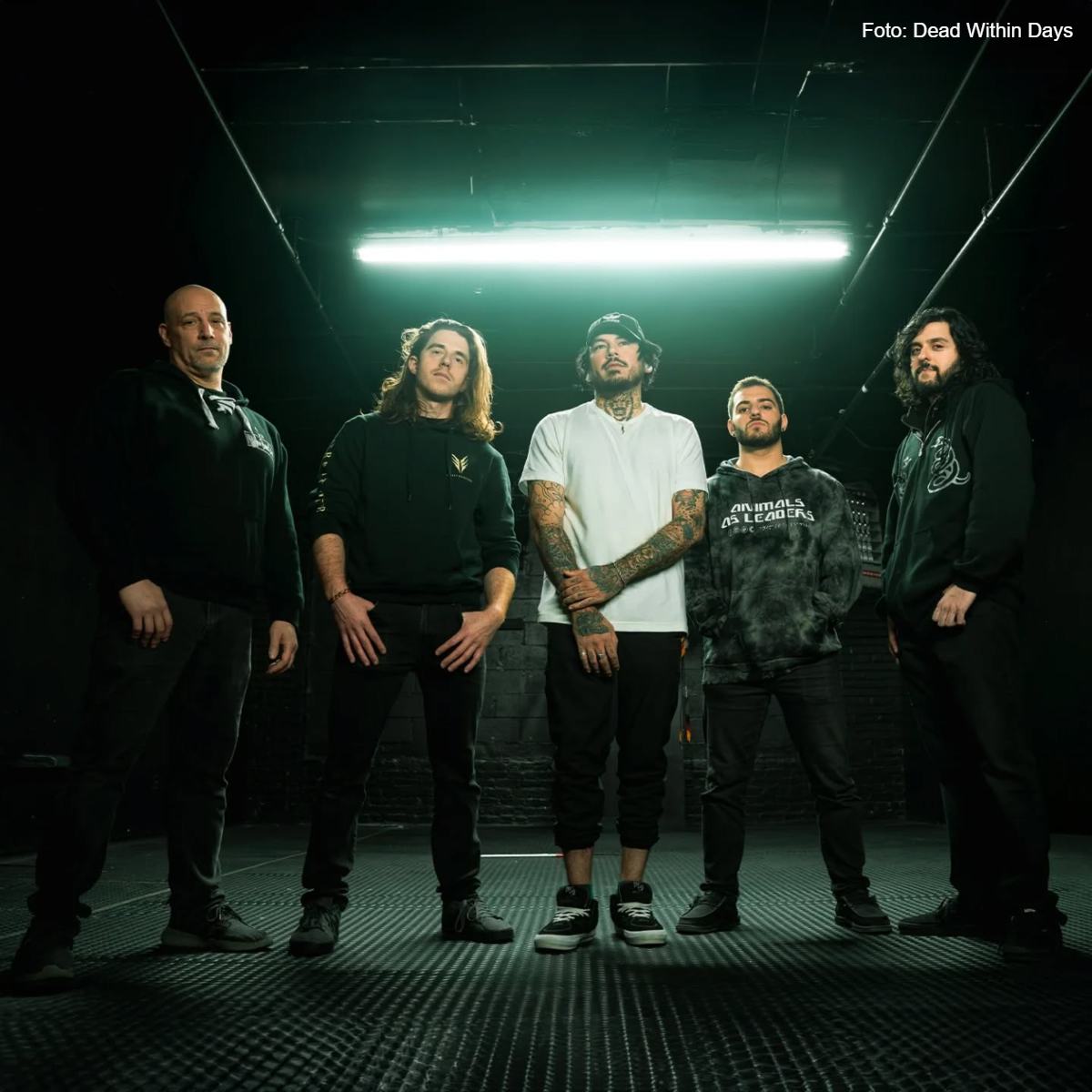 DEAD WITHIN DAYS Archiv | vampster - Metal Magazin