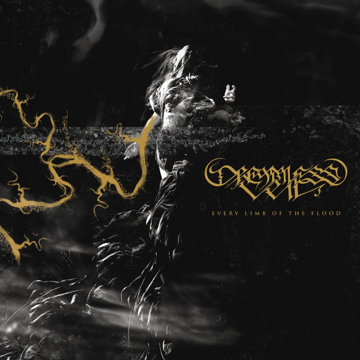 DREAMLESS VEIL: zweiter Track vom neuen Blackened Death Metal Album ...