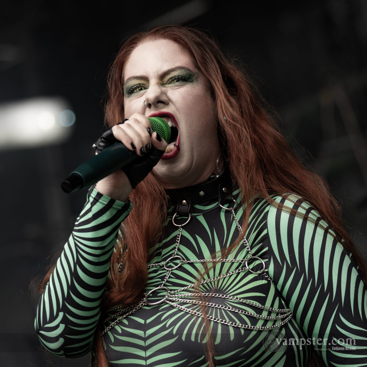 WISDOM TOOTH FESTIVAL Archiv | vampster - Metal Magazin