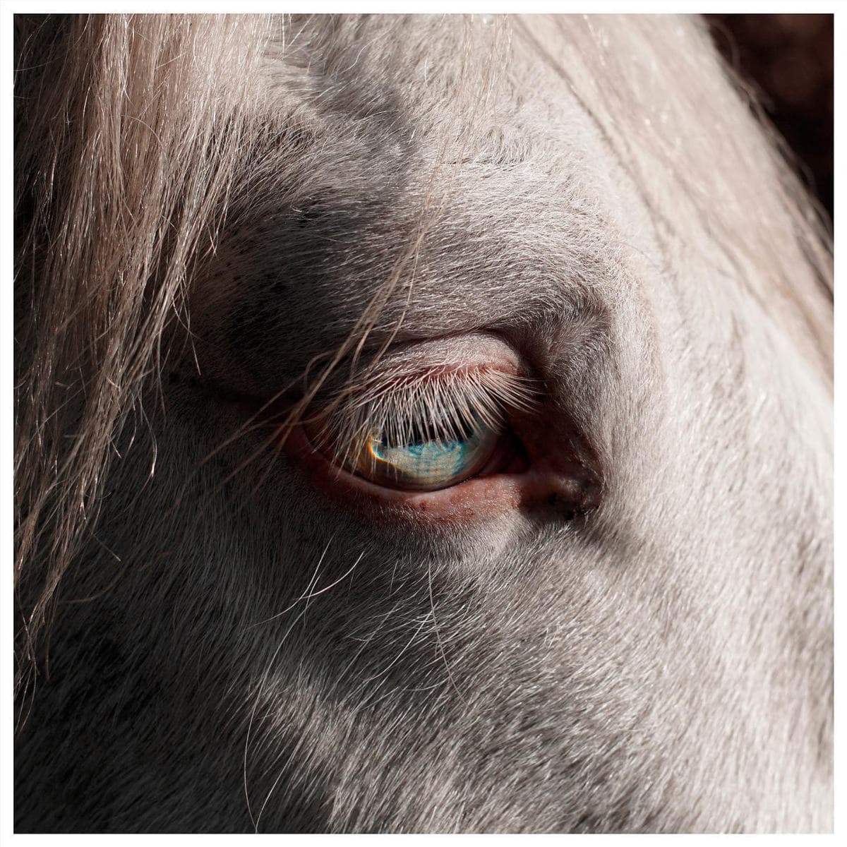 OK WAIT: Video mit ChatGPT-Dialogen vom neuen Instrumental Post / Noise ...