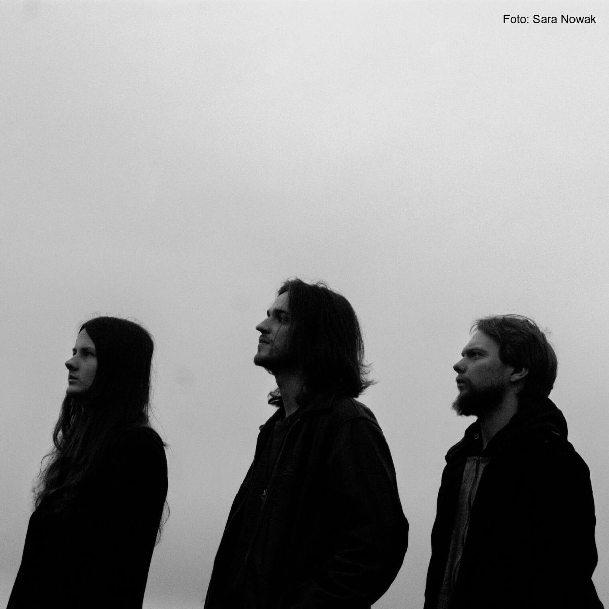 POKUTA Archiv | vampster - Metal Magazin