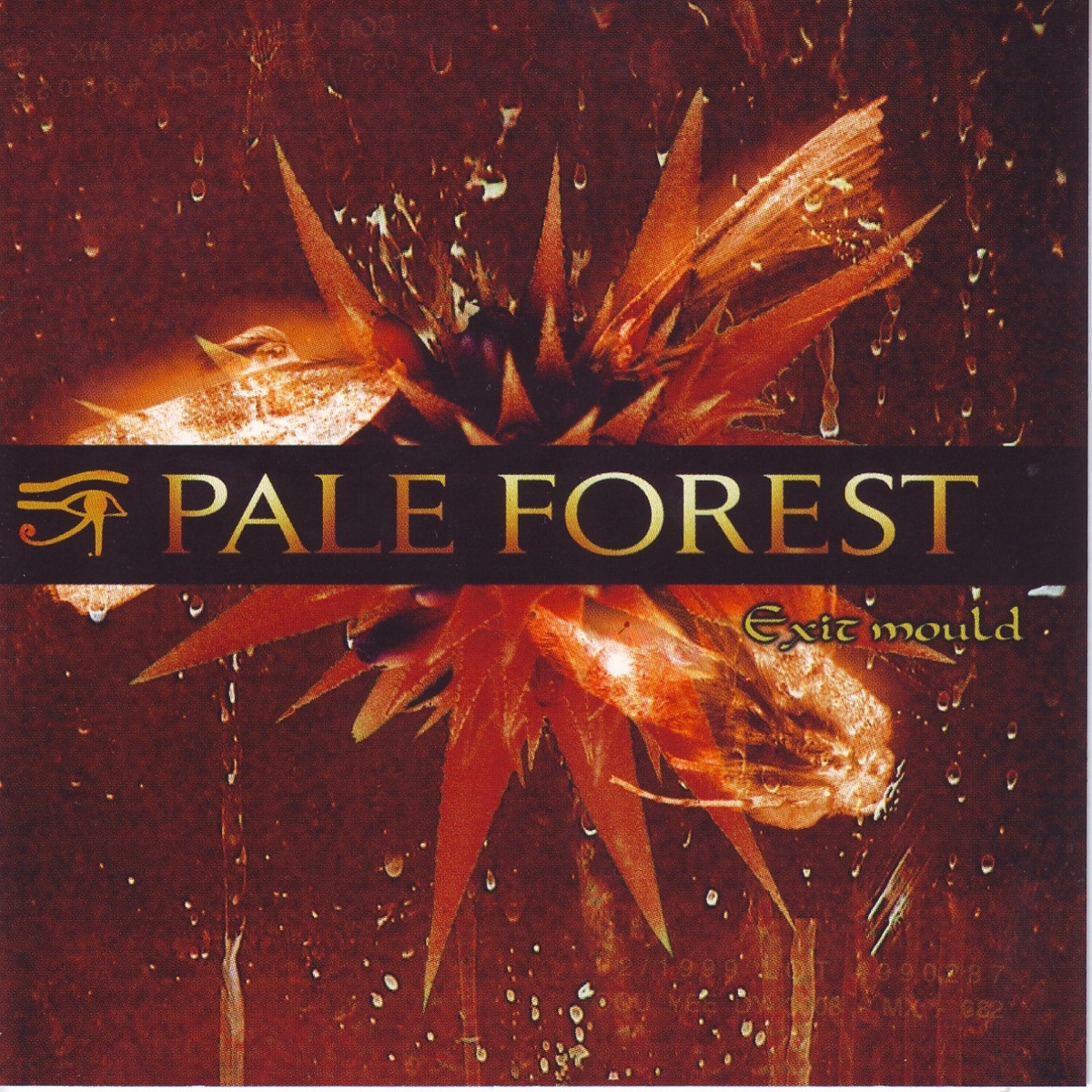 PALE FOREST Archiv | vampster - Metal Magazin
