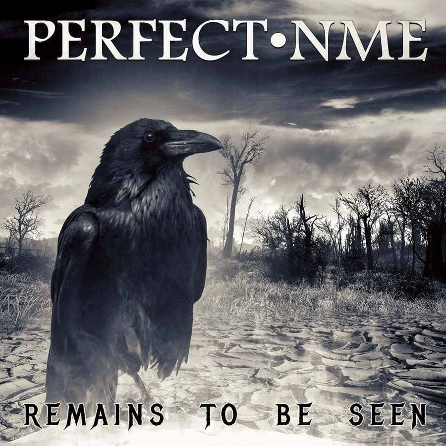 PERFECT NME: Lyric-Video vom Modern Metal Album „Remains To Be Seen ...