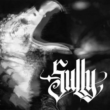SULLY: kündigen neues Grindcore / Hardcore Album "Sully" an | News ...
