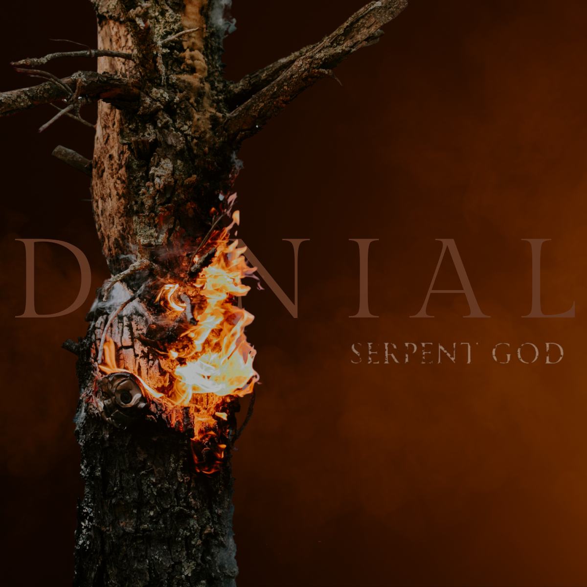 SERPENT GOD: dritte Single vom neuen Melodic Death / Doom Metal Album "Denial" | News | vampster ...